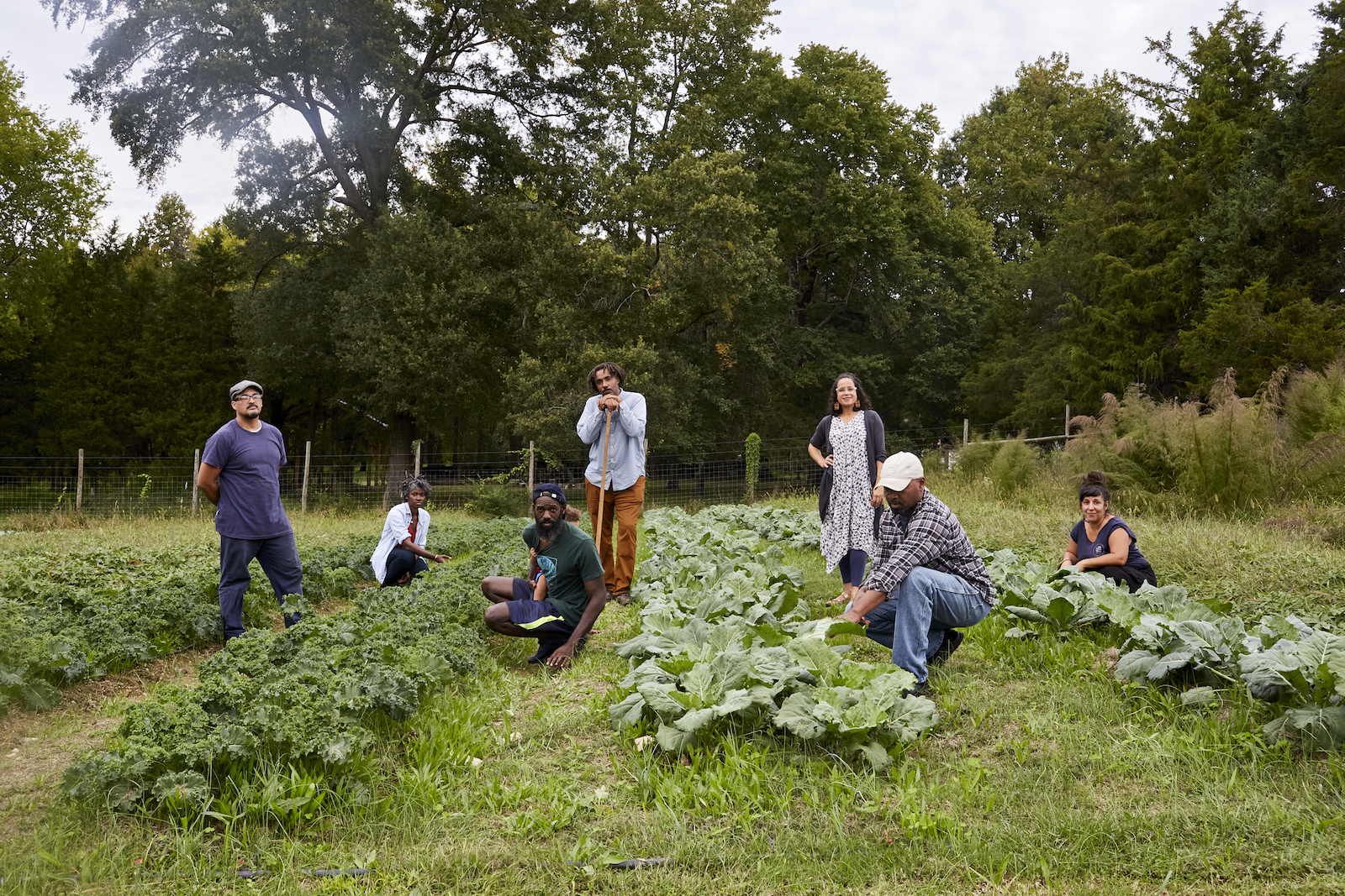 Earthseed Land Collective | ...in pursuit and practice of collective ...